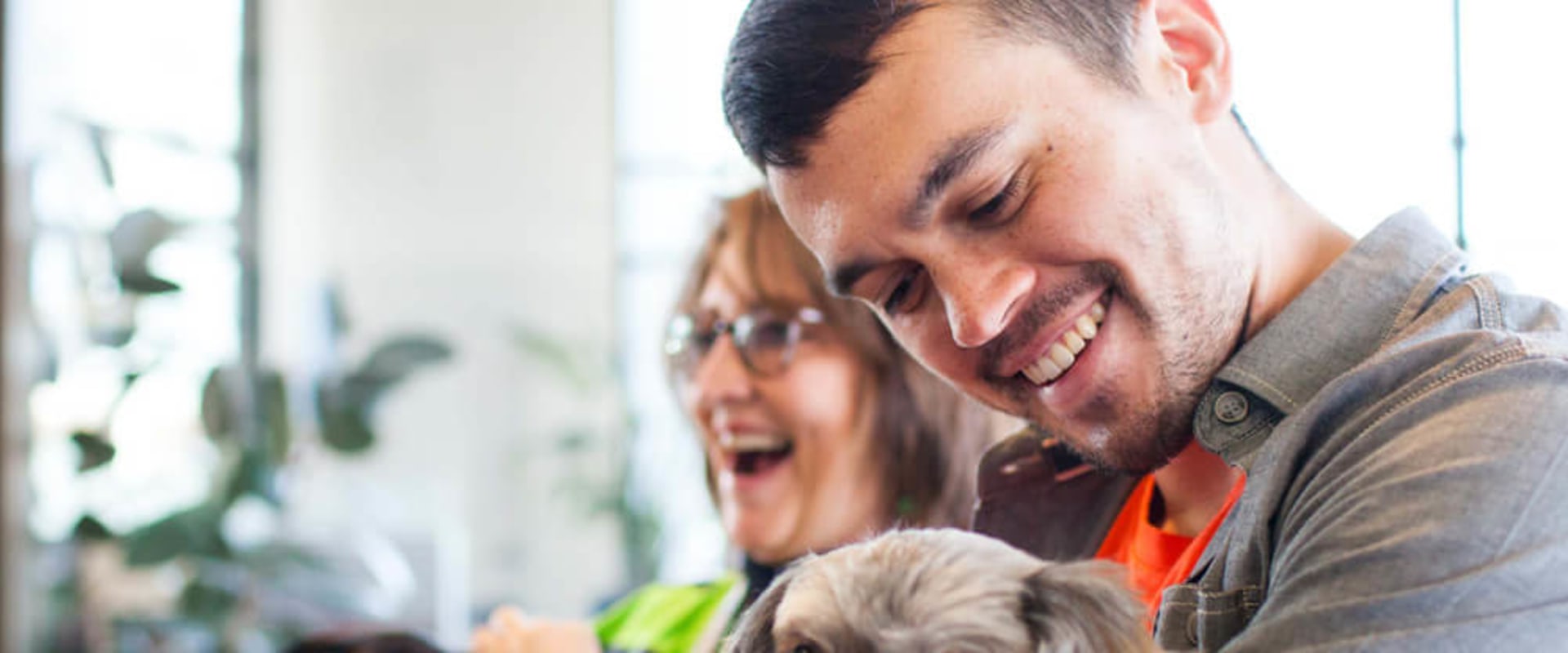 Volunteer Opportunities with Animals in Snohomish County, Washington: A ...